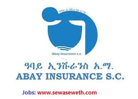Insurance jobs - Abay Insurance SC - Sewasew