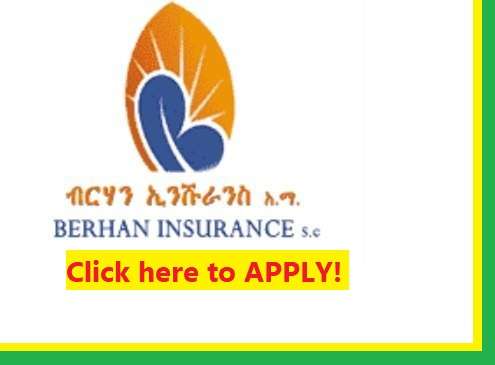 Vacancy Announcement Berhan Insurance SC - Sewasew