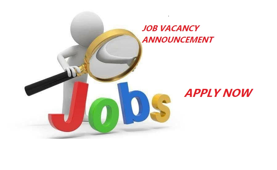 General Federal Auditor job vacancy announcement - Sewasew