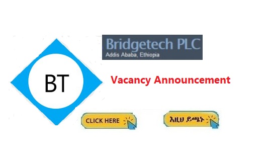 Bridgetech PLC Vacancy Announcement | 2023 - Sewasew