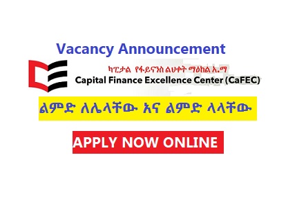 Capital Financial Excellence Center Vacancy Announcement | Jan 2023 ...