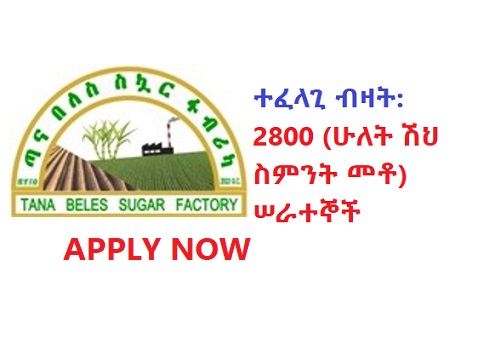 Tana Beles Sugar Factory Vacancy - ጣና በለስ ስኳር ፋብሪካ ከ2 ሺህ 8 መቶ በላይ ...
