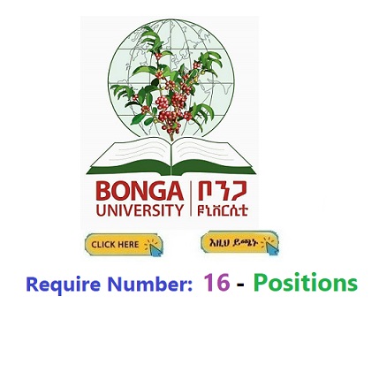 Bonga University - New Vacancy Announcement 2023 - Sewasew