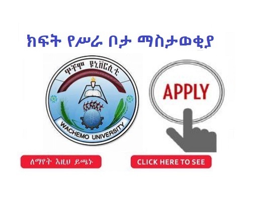 Wachemo University - New Vacancy Announcement For fresh Graduate | Jobs ...