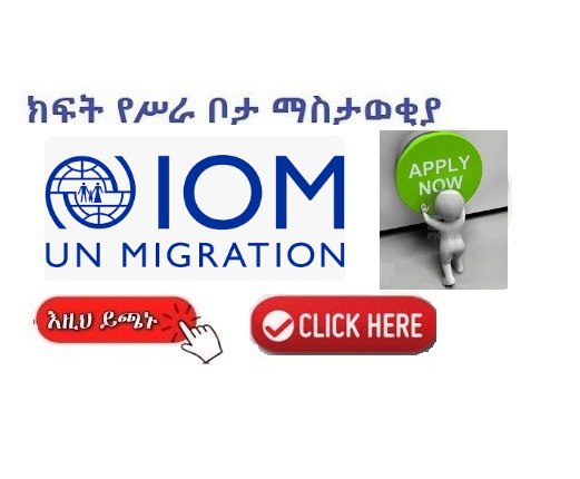 International Organization for Migration - IOM - Vacancy Announcement ...