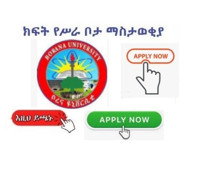 Borena University Vacancy Announcement | Jobs 2023 - Sewasew