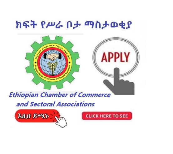 Ethiopian Chamber of Commerce & Sectoral Associations - Vacancy Announcement - Sewasew