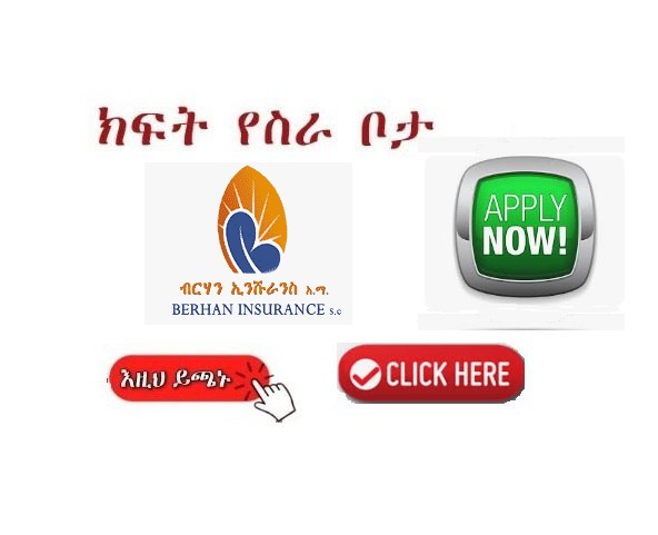Berhan Insurance SC - Vacancy Announcement - Sewasew