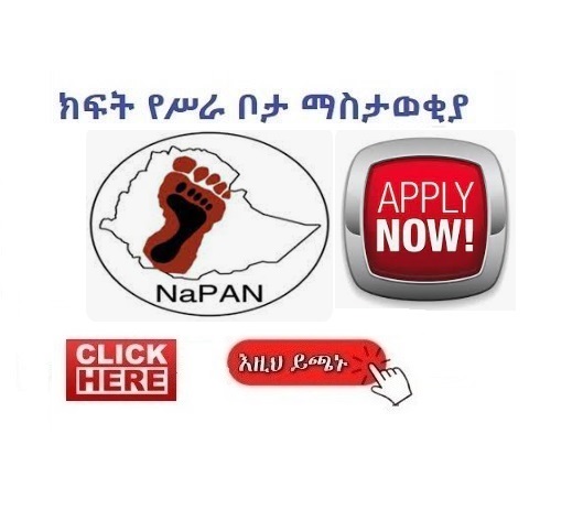 National Podoconiosis Action Network (NaPAN) - Vacancy Announcement | NGO Jobs - Sewasew