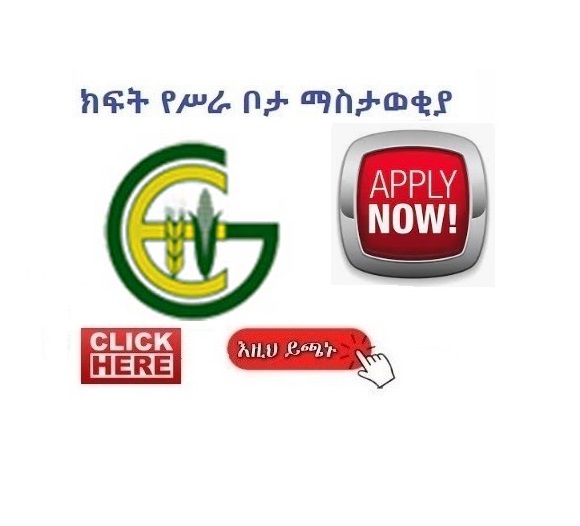 Gedeb Engineering PLC - Vacancy Announcement - Sewasew
