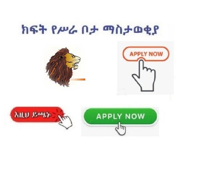 Lion Insurance Company - Vacancy Announcement | Insurance Jobs - Sewasew