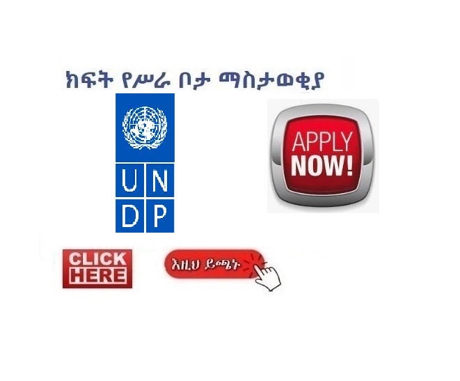 NGO Vacancy Announcement - United Nations Development Program (UNDP ...
